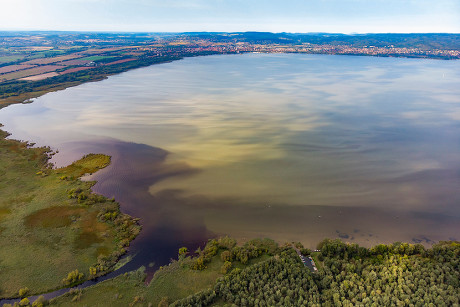 Freshwater Algae Proliferate Southern Tip Lake Editorial Stock Photo ...