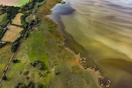 Freshwater Algae Proliferate Southern Tip Lake Editorial Stock Photo ...
