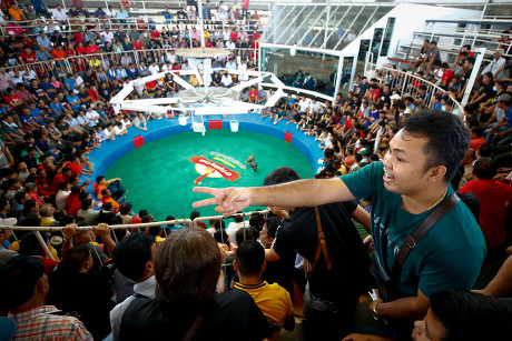Man Gestures Fellow Spectator They Place Editorial Stock Photo - Stock ...