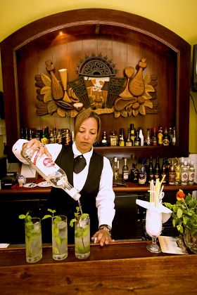 Bar Lady Making Mojito Cocktails Bar Editorial Stock Photo - Stock ...