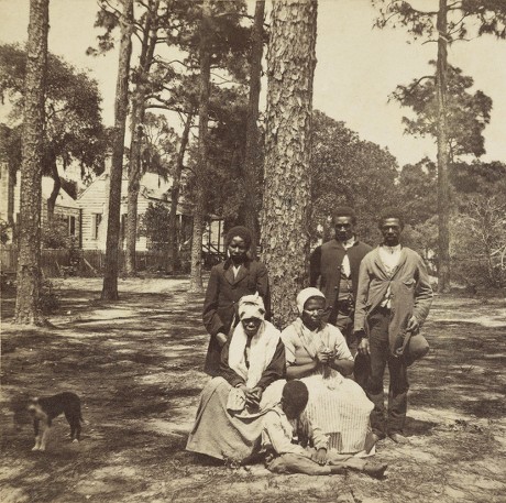 Previously Enslaved African American Men Women Editorial Stock Photo ...