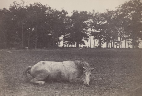 Us Civil War Battle Antietam Called Editorial Stock Photo - Stock Image ...