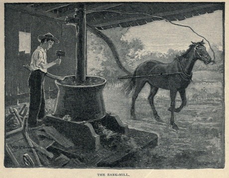 17 Bark mill Stock Pictures, Editorial Images and Stock Photos ...