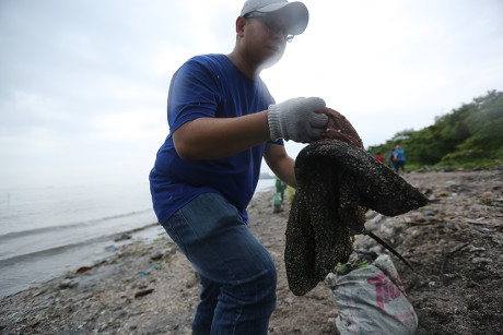 Filipino Volunteer Collects Garbage During International Editorial ...