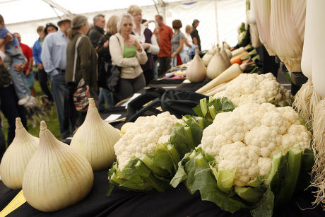 The Vegetable Growing Competition at the Dorchester Show, Dorset ...