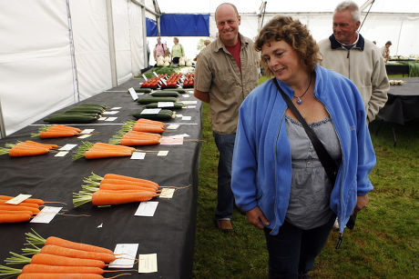The Vegetable Growing Competition at the Dorchester Show, Dorset ...