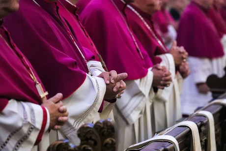 Chairman German Bishops Conference German Cardinal Editorial Stock ...