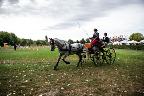 Sandor Karsay Hungary Competes Obstacle Cone Editorial Stock Photo ...