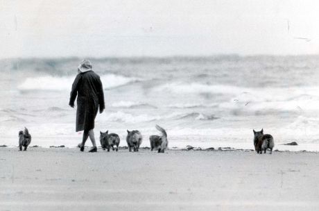 Queen Elizabeth Ii Walks Alone On Editorial Stock Photo - Stock Image ...