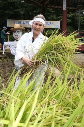 Woman Dressed Typical Korean Farmer Outfit Editorial Stock Photo ...
