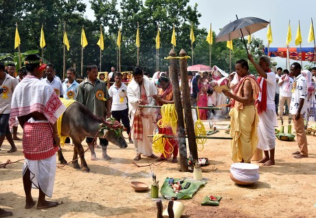 Animal Sacrifice During Durga Puja Festival Editorial Stock Photo ...