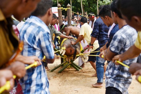 Animal Sacrifice During Durga Puja Festival Editorial Stock Photo ...
