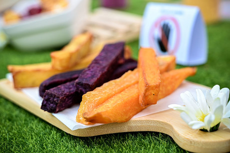 Anuga food and drink trade fair in Cologne, Germany - 07 Oct 2019 Stock ...