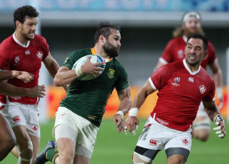 Rugby World Cup 2019, Kobe, Japan - 08 Oct 2019 Stock Pictures ...