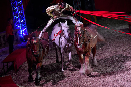 Hungarian Equestrian Acrobat Kevin Richter Florian Editorial Stock Photo - Stock Image ...