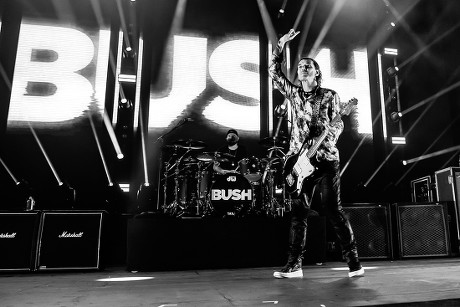 Bush in concert at The Joint, Las Vegas, USA - 11 Oct 2019 Stock ...