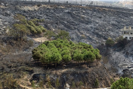 View Burntout Area Almishref Southeast Beirut Editorial Stock Photo ...