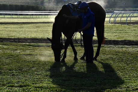 Alizee During Early Morning Track Work Editorial Stock Photo - Stock ...