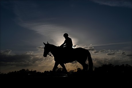 Alizee During Early Morning Track Work Editorial Stock Photo - Stock ...