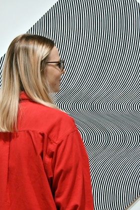 Bridget Riley Crest 1964 Editorial Stock Photo - Stock Image | Shutterstock