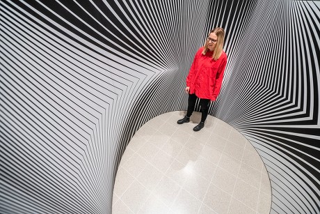 Bridget Riley Pictured Cataract 3 1967 Editorial Stock Photo - Stock ...