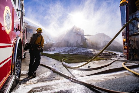 250 Tick fire Stock Pictures, Editorial Images and Stock Photos ...