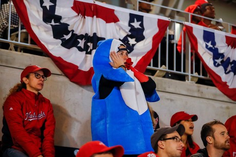 Washington Nationals fans watch MLB game seven in Washington, USA - 30 ...