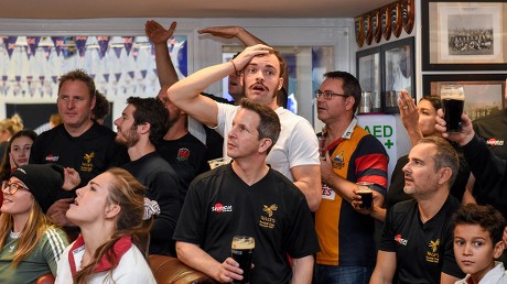 Supporters React Whilst Watching Rugby World Editorial Stock Photo ...