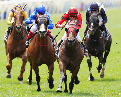 Jockey Billy Egan 2r Rides Bravo Editorial Stock Photo - Stock Image ...