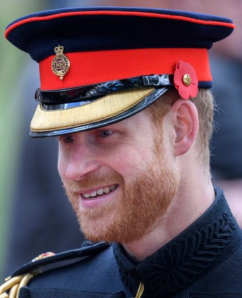 prince harry portraits Stock Photos (Exclusive) | Shutterstock