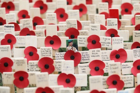 Poppy Plots Field Remembrance Editorial Stock Photo - Stock Image ...