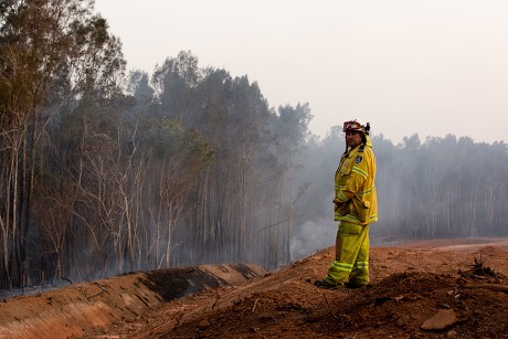Fireman Looks On Fire Burns Bushland Editorial Stock Photo - Stock ...
