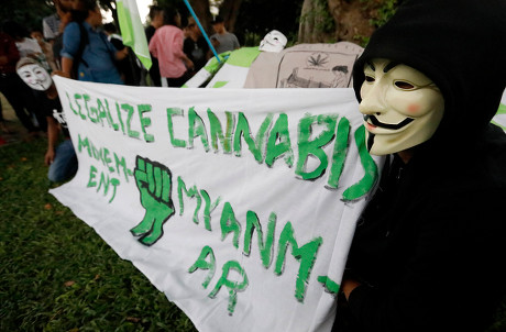 __COUNT__ Legalize Cannabis Movement gathers in Yangon, Myanmar - 11 ...