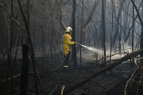 Firefighter Works Extinguish Smoldering Ground After Editorial Stock ...