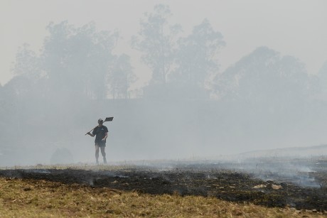 Resident Walks Across Burnt Paddock Following Editorial Stock Photo ...