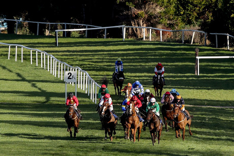Clonmel Racing, Clonmel Racecourse, Co. Tipperary - 14 Nov 2019 Stock ...