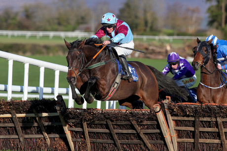 Jockey Rachel Blackmore Editorial Stock Photo - Stock Image | Shutterstock