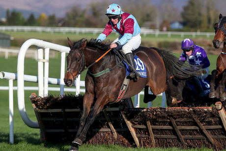 Jockey Rachel Blackmore Editorial Stock Photo - Stock Image | Shutterstock