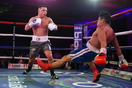 250 Nordoff robbins boxing dinner Stock Pictures, Editorial Images and ...