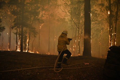 Bushfires in Australia, Sydney - 19 Nov 2019 Stock Pictures, Editorial ...