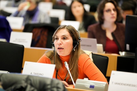 Tineke Strik Libe Committee Meeting Situation Editorial Stock Photo ...