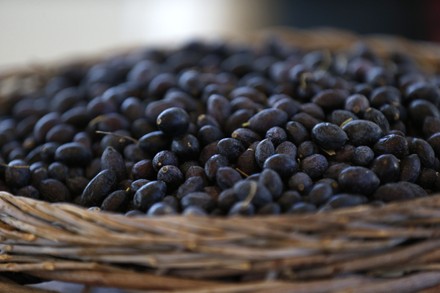 Fresh Olives Piled Basket During Local Editorial Stock Photo - Stock ...
