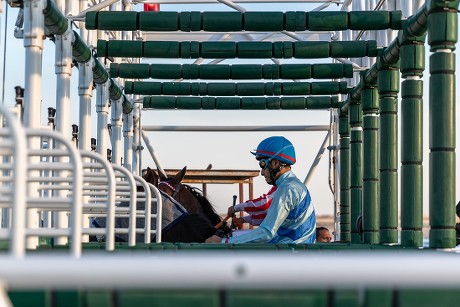 Daleel Under Abdulla Faisal Stalls Ahead Editorial Stock Photo - Stock ...