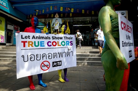 Members People Ethical Treatment Animals Peta Editorial Stock Photo ...