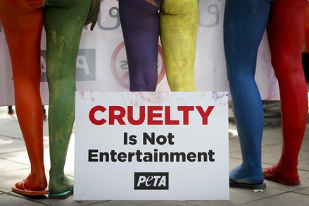 Members People Ethical Treatment Animals Peta Editorial Stock Photo ...