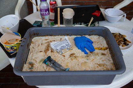 Container Rotting Food Sits Outside Canteen Editorial Stock Photo ...