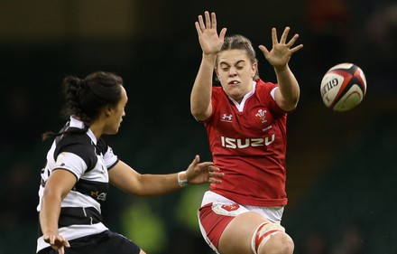 Alex Callender Wales Celebrates Scoring Try Editorial Stock Photo ...