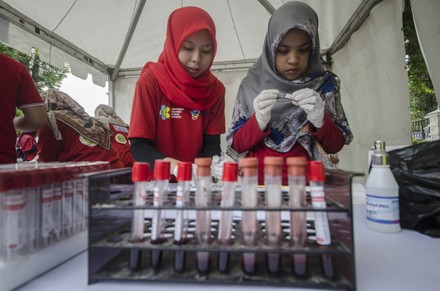 47 Blood test campaign Stock Pictures, Editorial Images and Stock ...