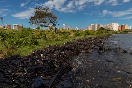 Polluted Water Debris On Beach Maracaibos Editorial Stock Photo - Stock ...