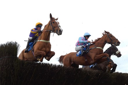 Winner Weatherbys Racing Bank Silver Buck Editorial Stock Photo - Stock ...